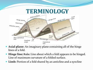 Folds and types | PPTX