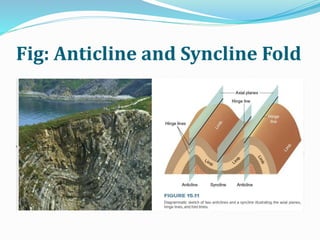 Folds and types | PPTX