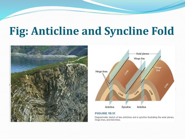 Folds and types | PPTX