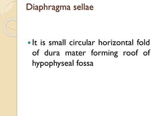 Folds of Dura Mater brain neuroscience science and technology and ...