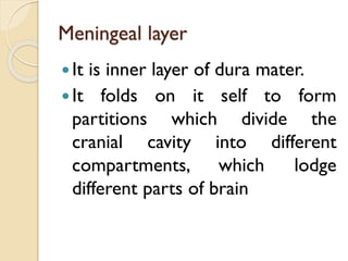 Folds of Dura Mater brain neuroscience science and technology and ...