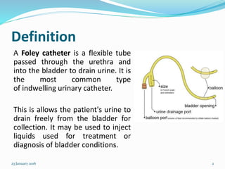 Foley cathetar and cathetarazation | PPT | Free Download