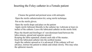 FOLEY CATHETERISATION and other uri.pptx