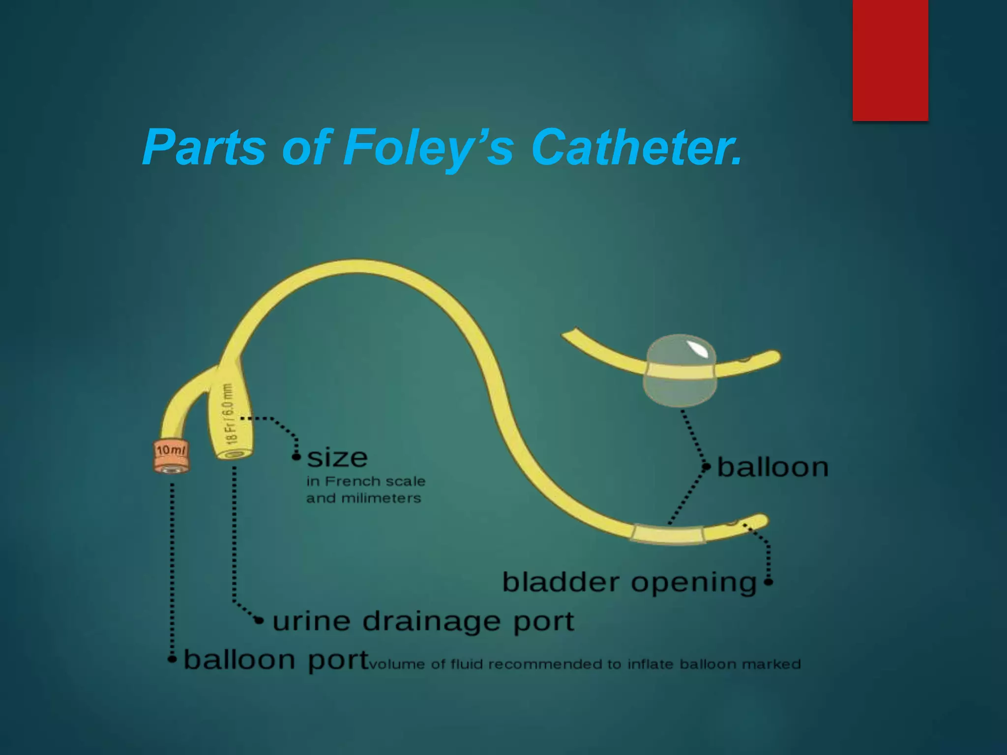 Foleys catheter | PPTX