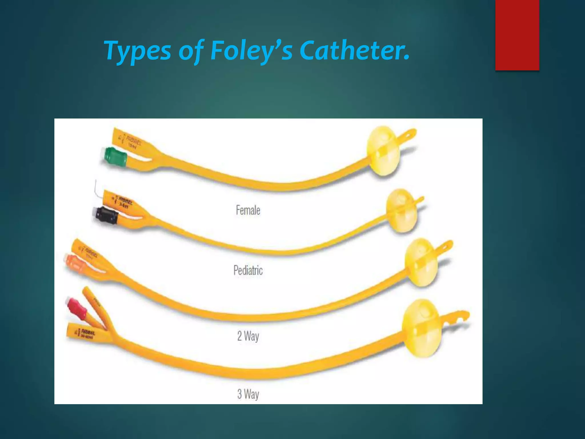 Foleys catheter | PPTX