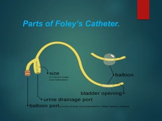 Foleys catheter | PPTX