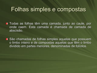 Folha agronomia | PPT