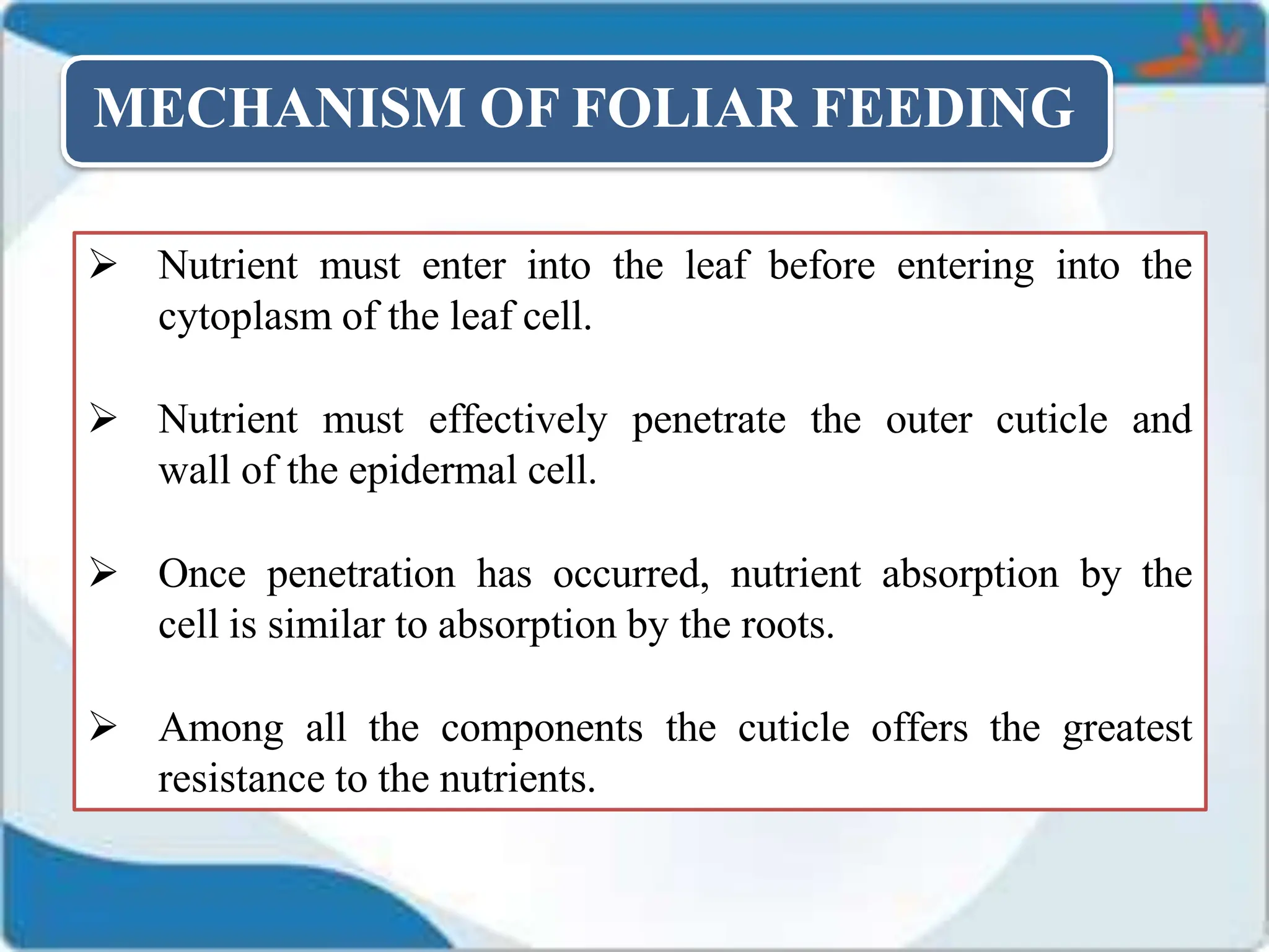 Foliar Application Nutrients To Plant Pptx