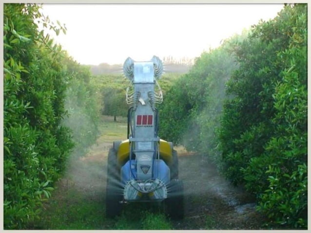 Foliar Application Nutrients To Plant Pptx