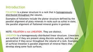 Foliation | PPT