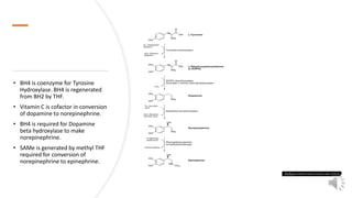 Folic acid in Mental disorders | PPT