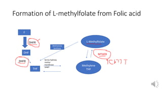 Folic acid in Mental disorders | PPT