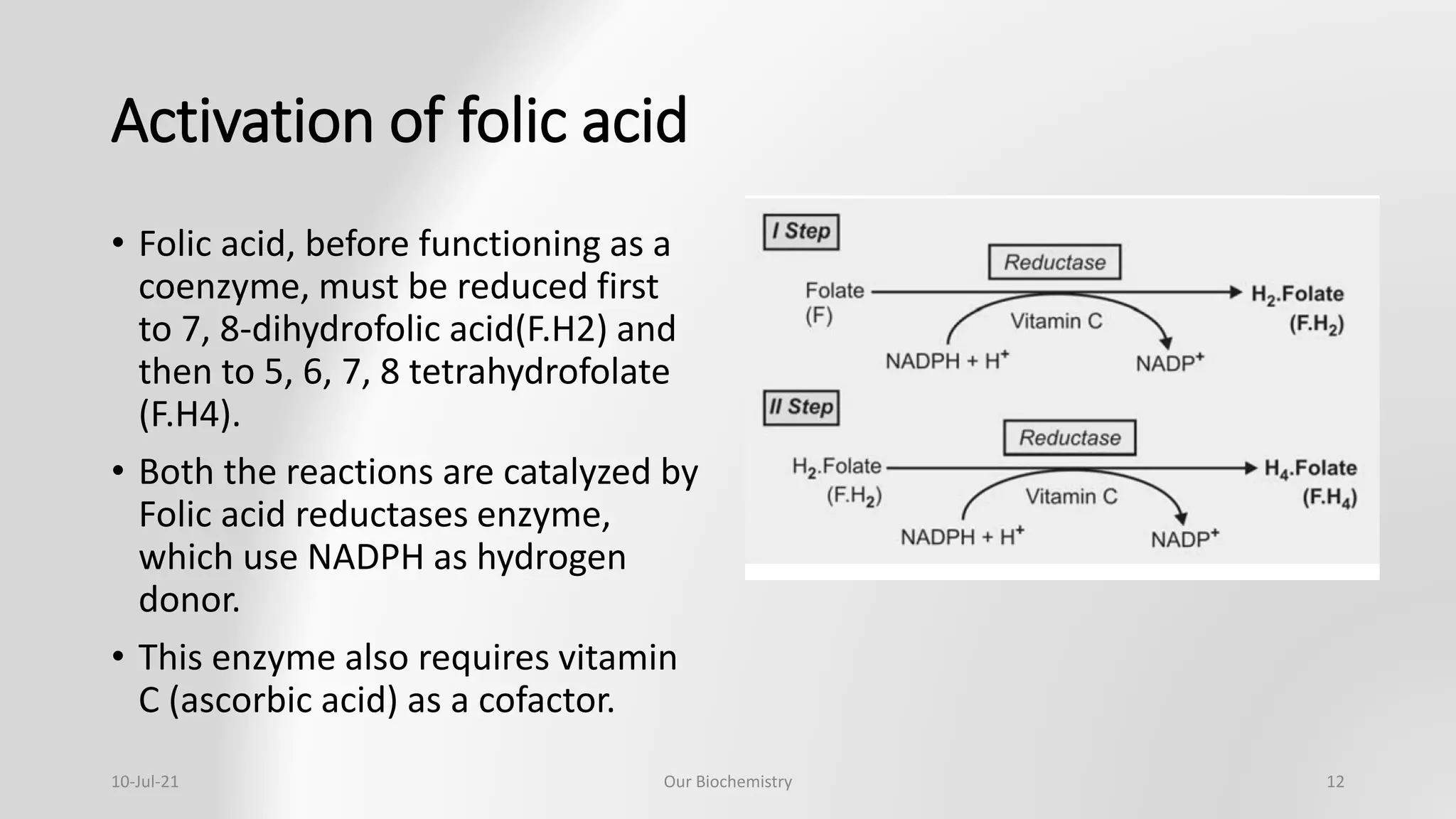 Folic acid- Chemistry, One carbon metabolism and megaloblastic anemia | PDF