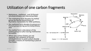 Folic acid- Chemistry, One carbon metabolism and megaloblastic anemia | PDF