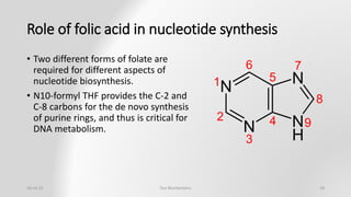 Folic acid- Chemistry, One carbon metabolism and megaloblastic anemia | PDF