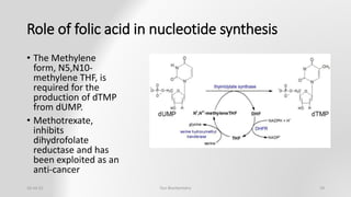 Folic acid- Chemistry, One carbon metabolism and megaloblastic anemia | PDF