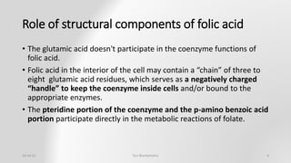 Folic acid- Chemistry, One carbon metabolism and megaloblastic anemia | PDF