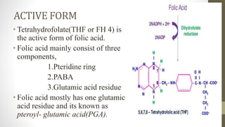 folicacid and cobalamine metabolism.pptx