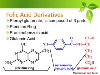 Folic acid and derivatives | PDF
