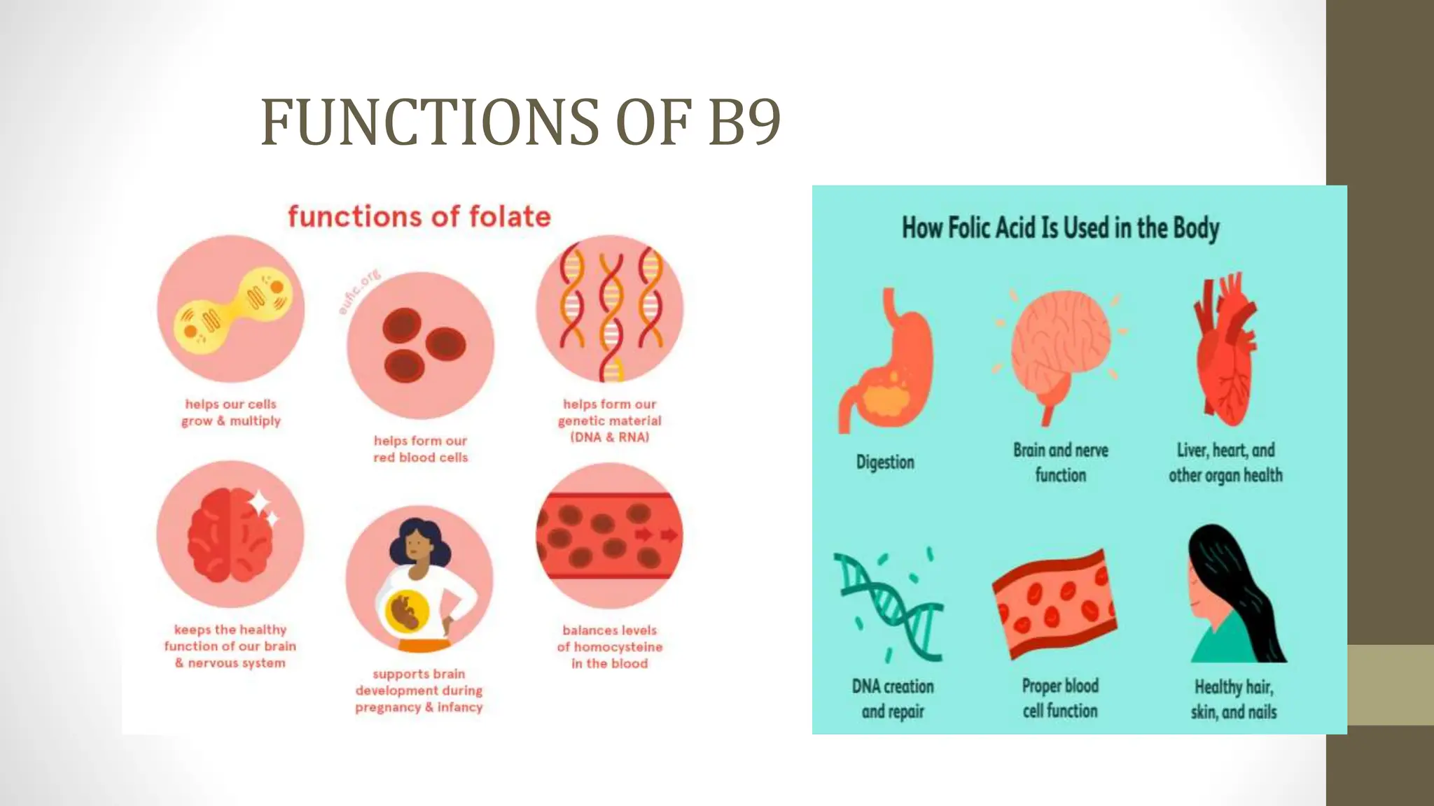 folic acid and effect on RBC production .pptx