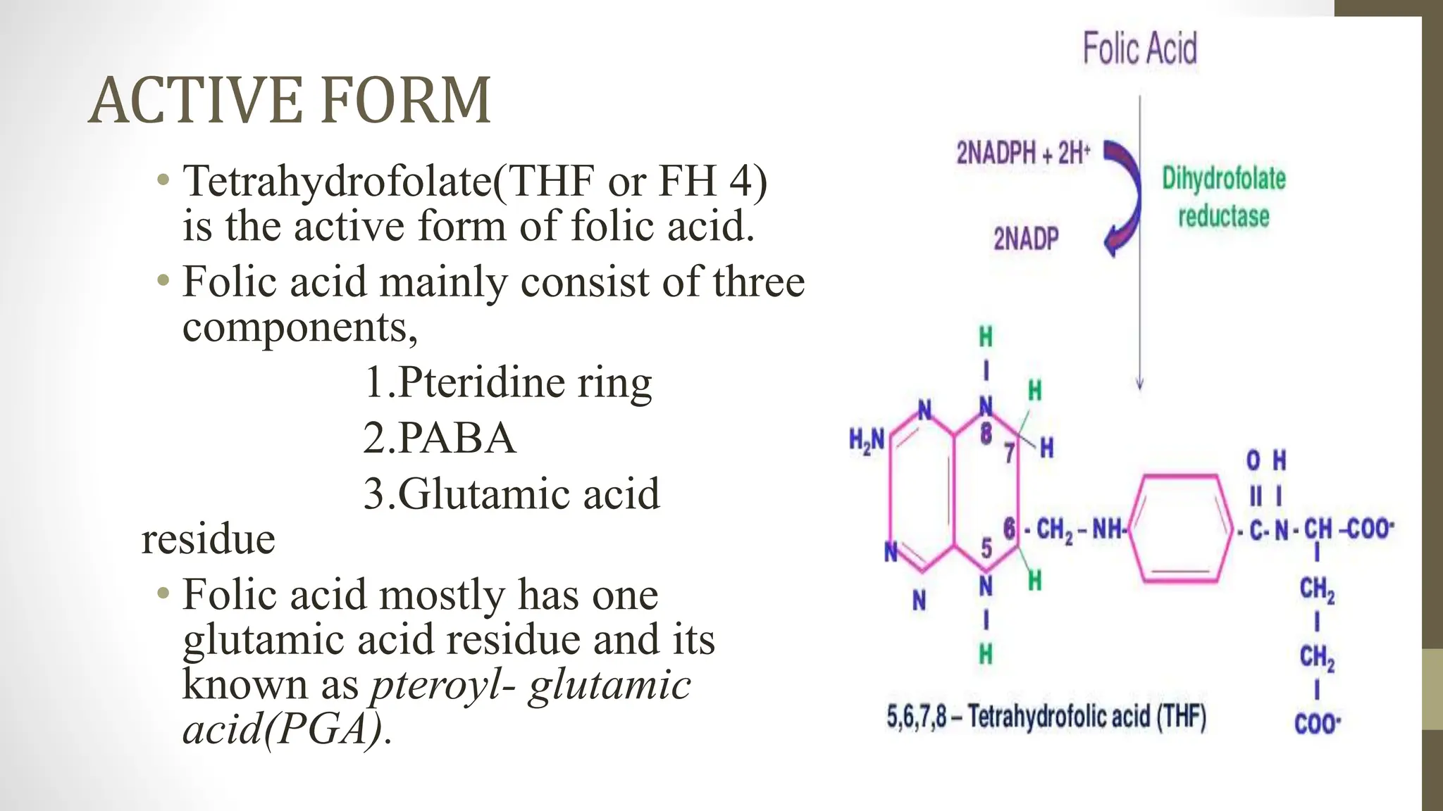 folic acid and effect on RBC production .pptx