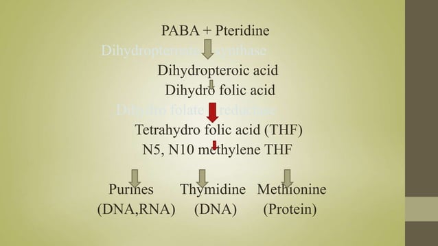 folic acid and effect on RBC production .pptx | Blood Disorders ...