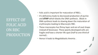folic acid and effect on RBC production .pptx