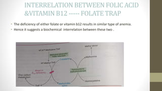 folic acid and effect on RBC production .pptx