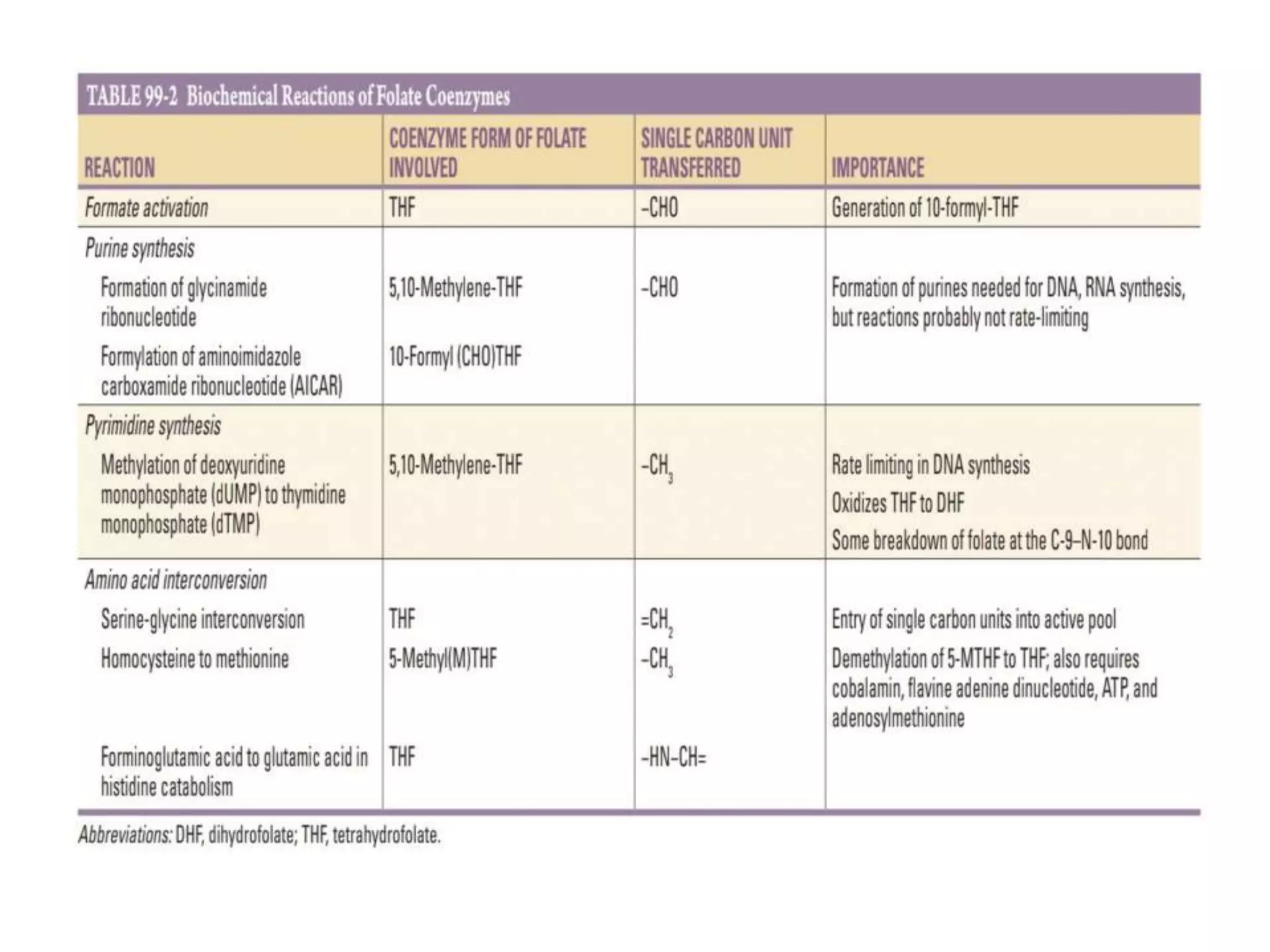 FOLIC ACID DEFICIENCY.pptx