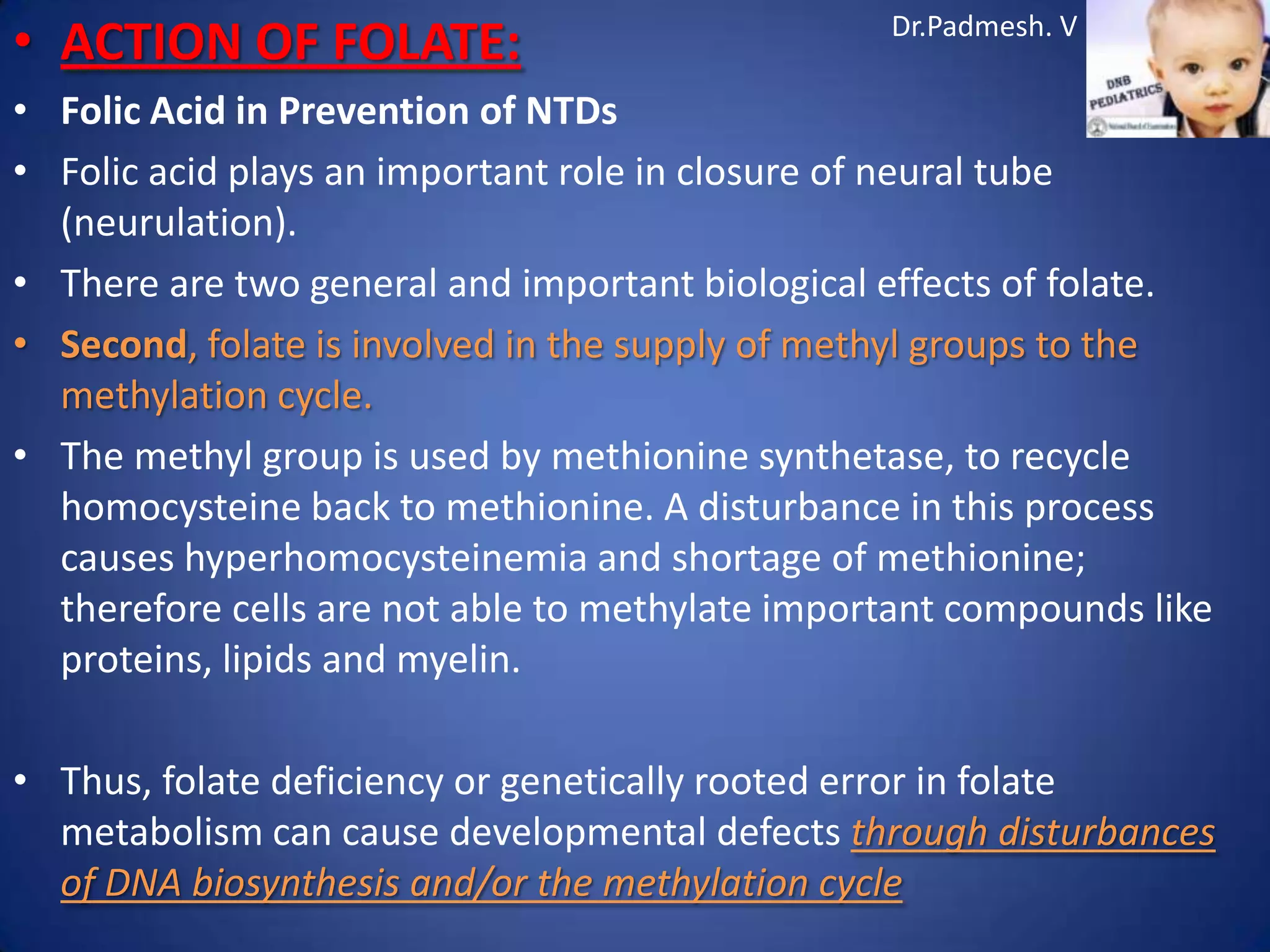 Folic acid in neural tube defect... Dr.Padmesh | PPT