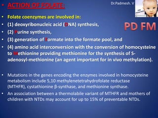 Folic acid in neural tube defect... Dr.Padmesh | PPTX