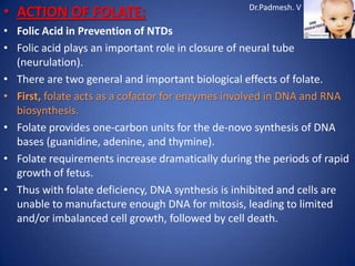Folic acid in neural tube defect... Dr.Padmesh | PPTX