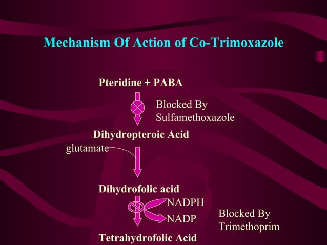 Folic Acid Synthesis Inhibitors | PPT