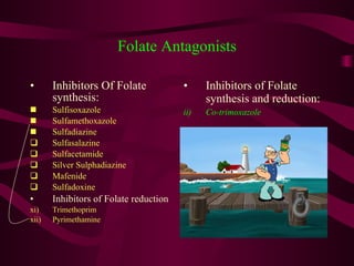 Folic Acid Synthesis Inhibitors | PPT