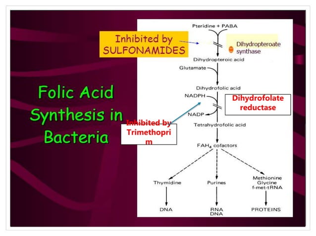 Folic acid synthesis inhibitors