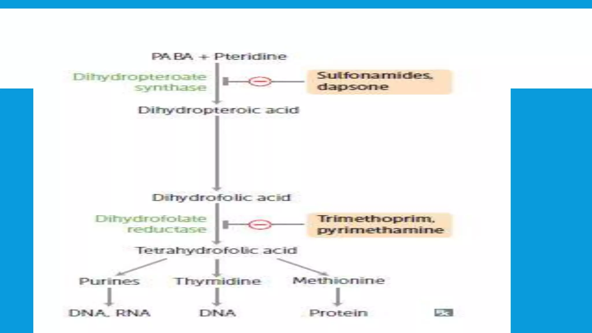 Folic acid synthesis & reductase inhibitors | PPTX