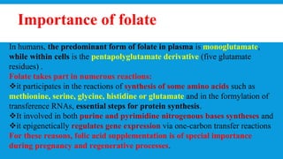 Folic acid synthesis & reductase inhibitors | PPTX