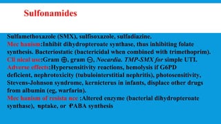 Folic acid synthesis & reductase inhibitors | PPTX
