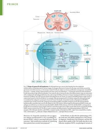 Folicullar lymphoma | PDF