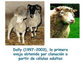 Folio 11_16_OGM.pptx ggggggggggggggggggggggggggg | PPT