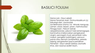 Folium: Simplisia yang berasal dari bagian daun tanaman | PPTX