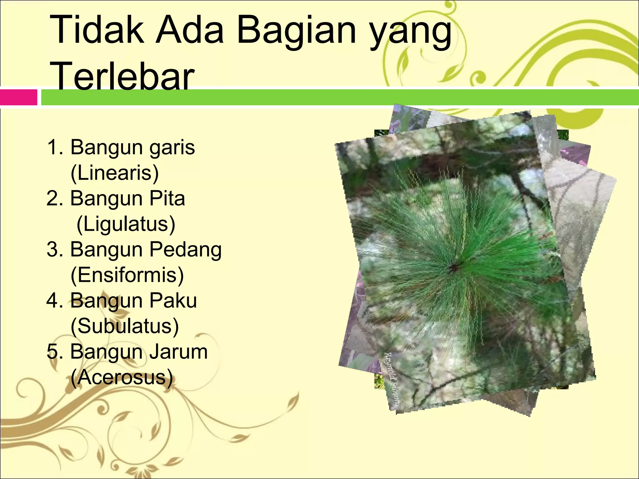KONSEP FOLIUM (Daun) | PPT