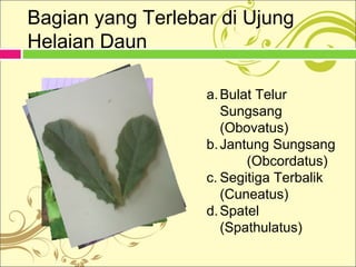 KONSEP FOLIUM (Daun) | PPT