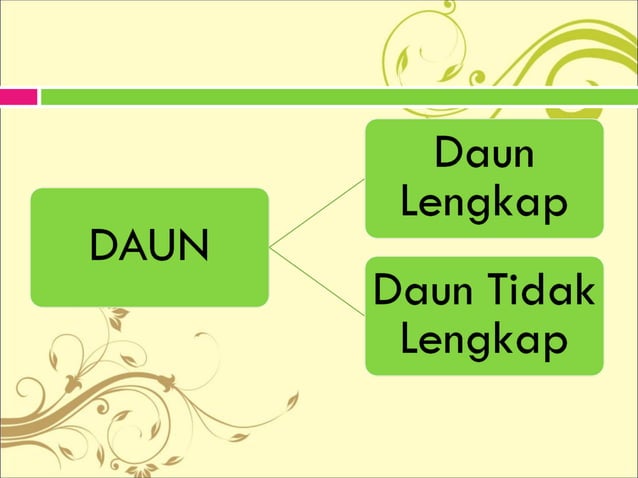 KONSEP FOLIUM (Daun) | PPT