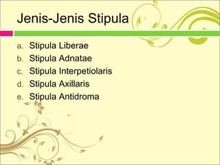 KONSEP FOLIUM (Daun) | PPT