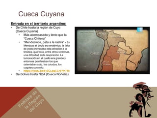 Folklore cuyano | PPTX