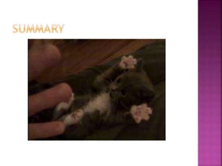 Folksonomy presentation - completed | PPTX | Social Networking | Internet