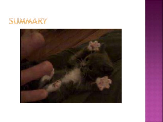 Folksonomy presentation - completed | PPTX | Social Networking | Internet