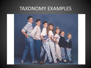 Folksonomy Presentation | PPTX | Internet | Computing