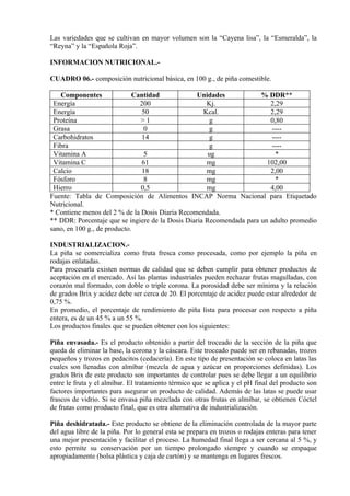 Folleto de curso taller enlatado | DOC